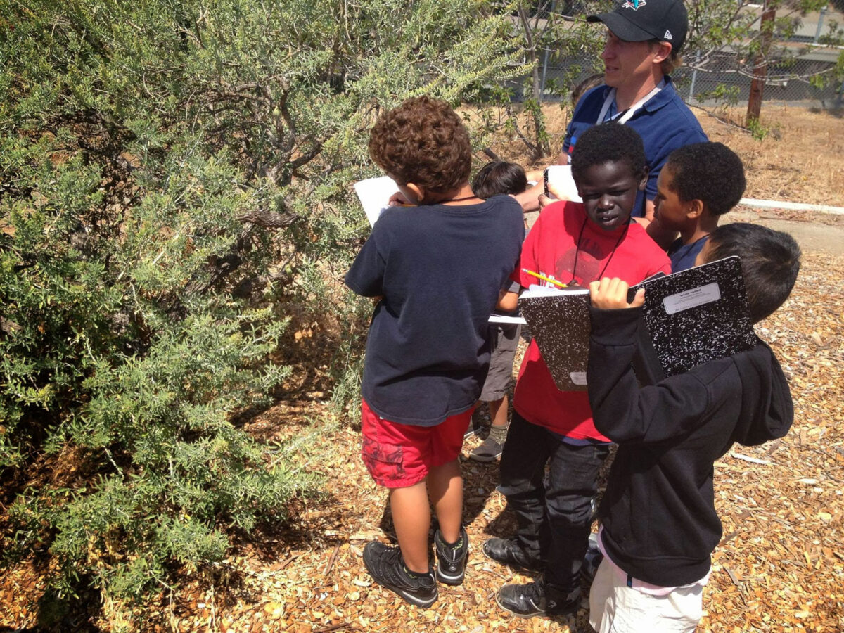 MTM Earth Lab | San Diego, CA